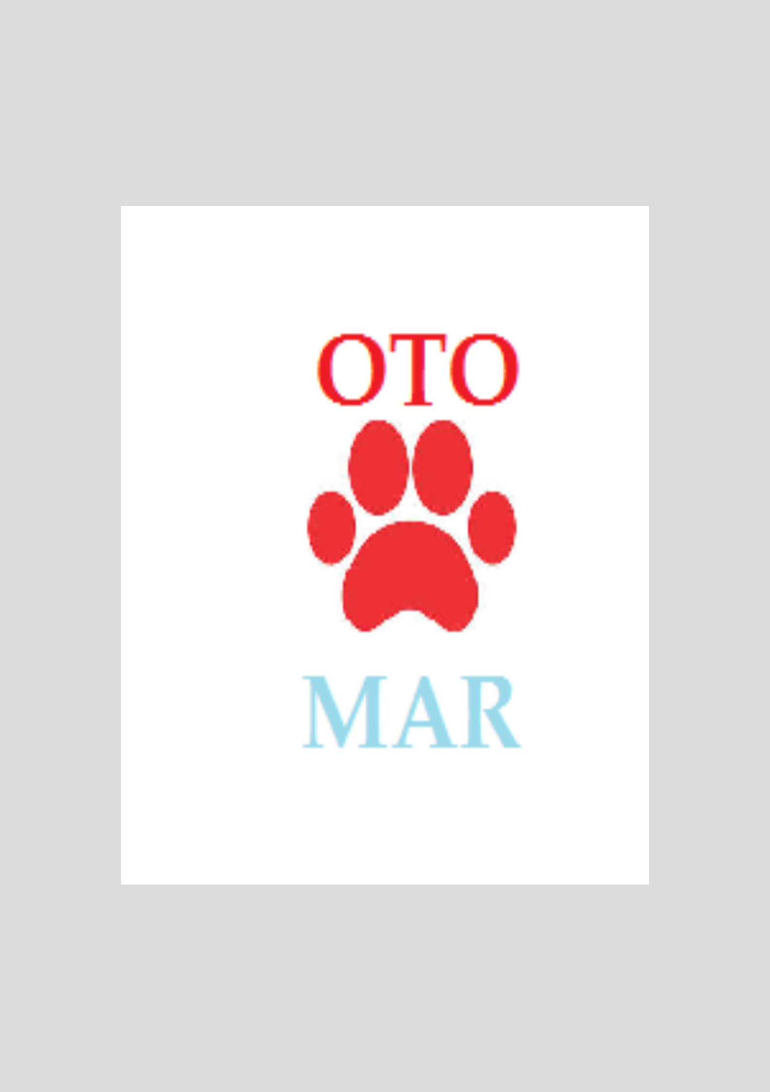 Poster A3 Poster oto pet R$34,39 em