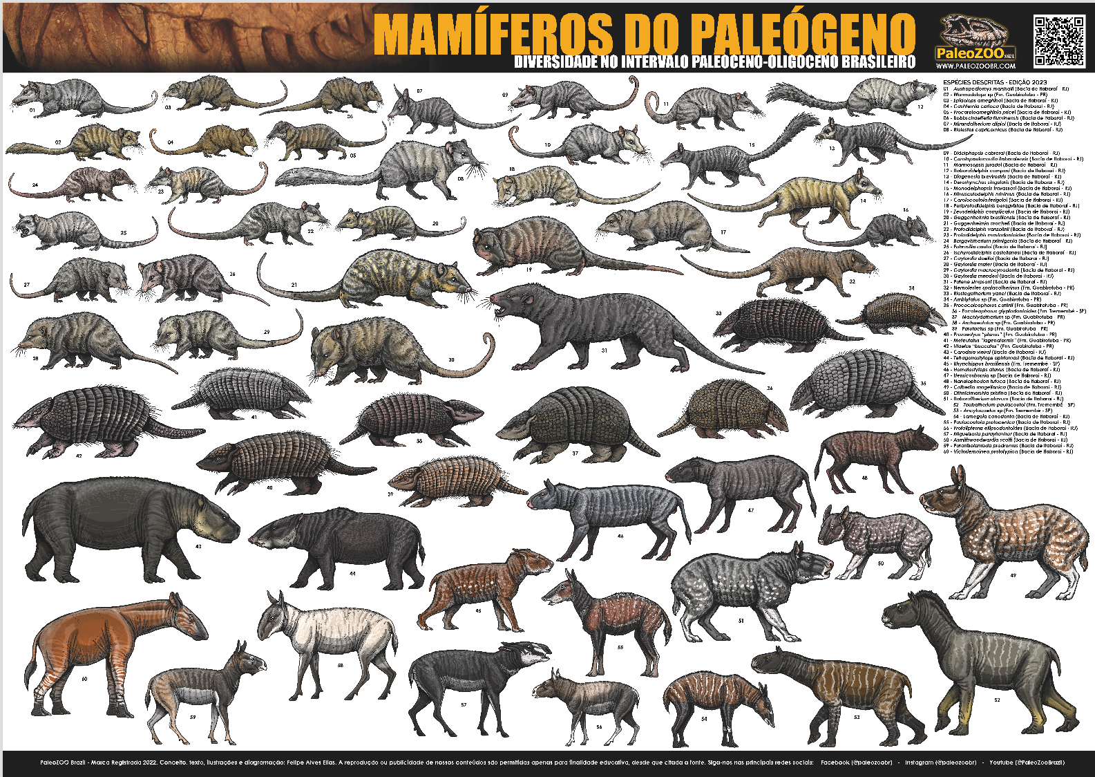 Poster Paisagem Poster MAMÍFEROS DO PALEÓGENO DO BRASIL em