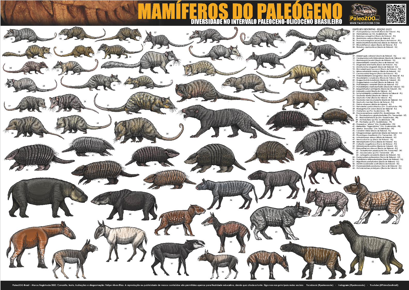 paleozoo-br