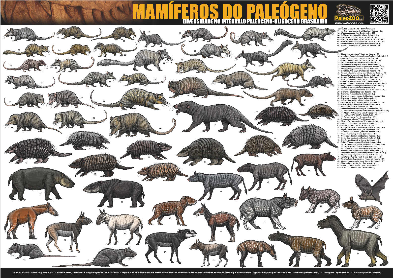 Poster Paisagem Poster MAMÍFEROS DO PALEÓGENO em