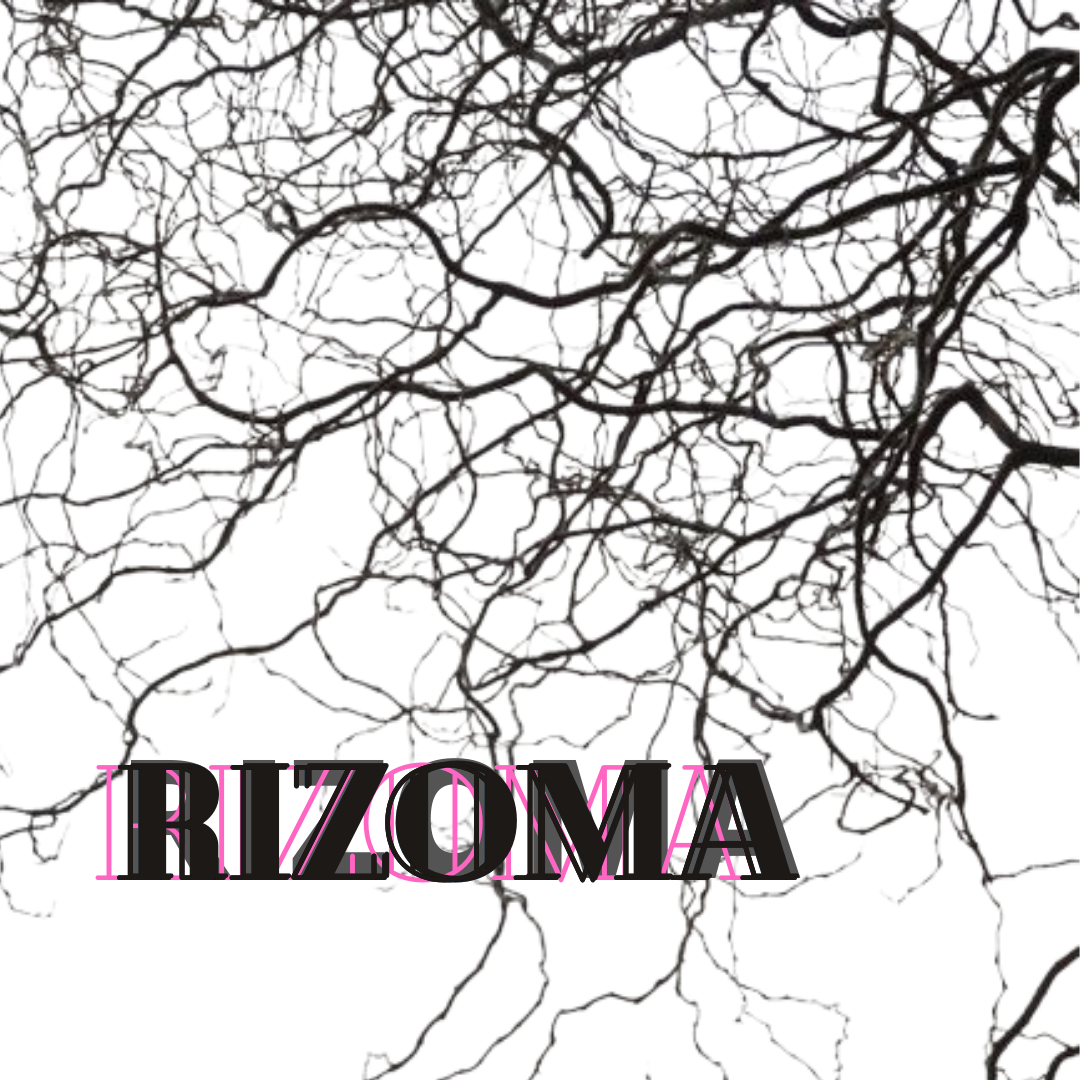 rizoma